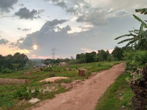 - Functions of Rural & Urban Areas - The Geo Room